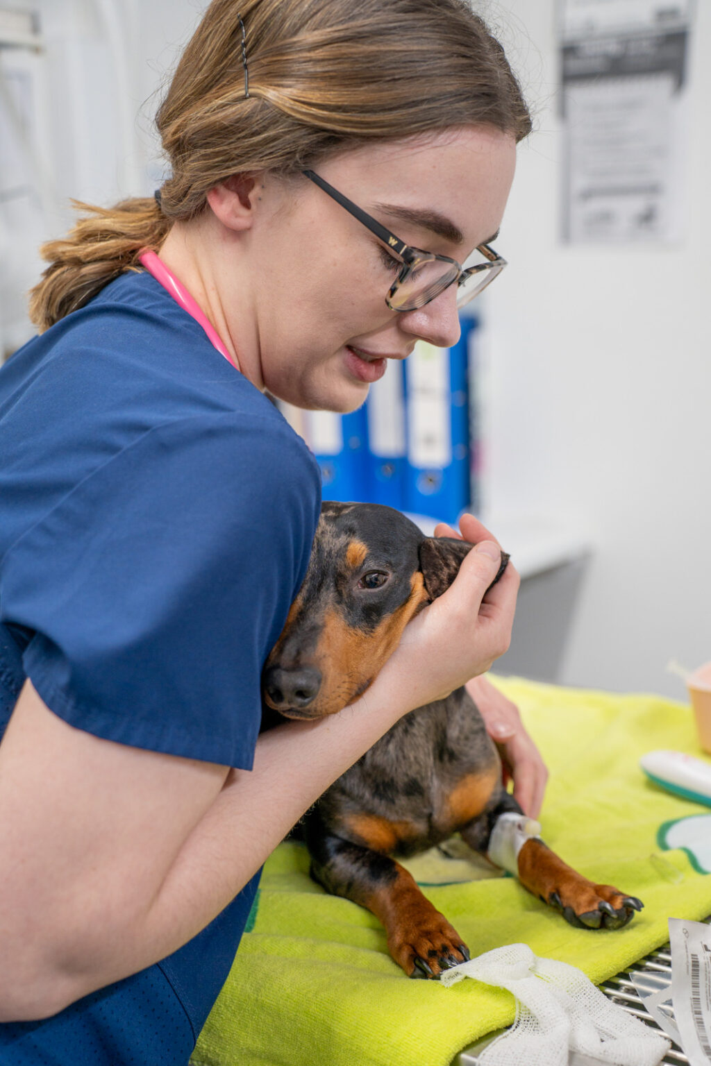 Heywood Vets | Your Trusted Vets in Heywood, Lancashire